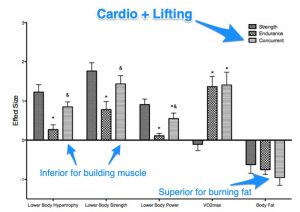 Build Muscle - Evidence Based Athlete